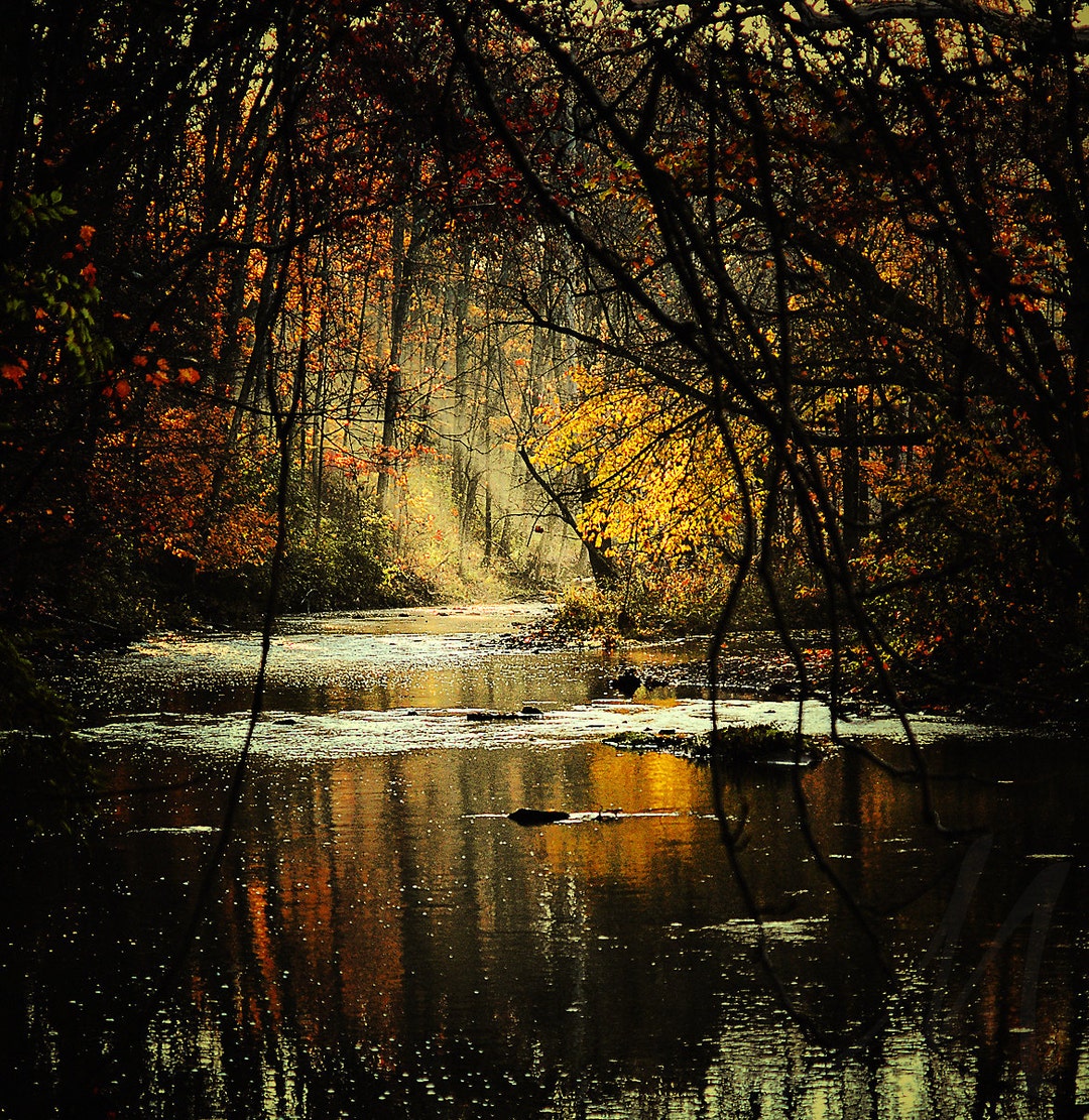 Dark Gothic Landscape Photograph, Autumn Woods Photo, Fine Art Nature ...