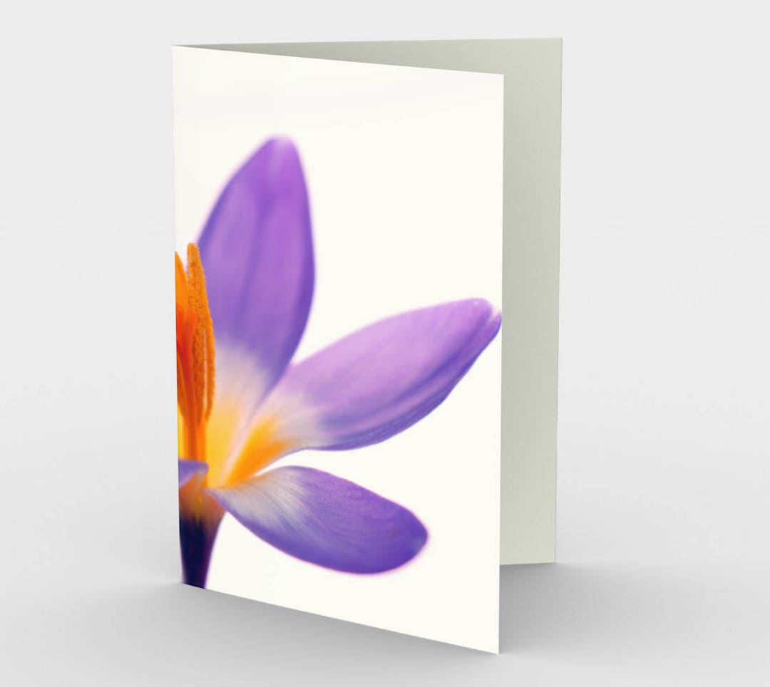 Purple Crocus Card, Blank Note Cards, Nature Note Cards, Greeting Cards ...