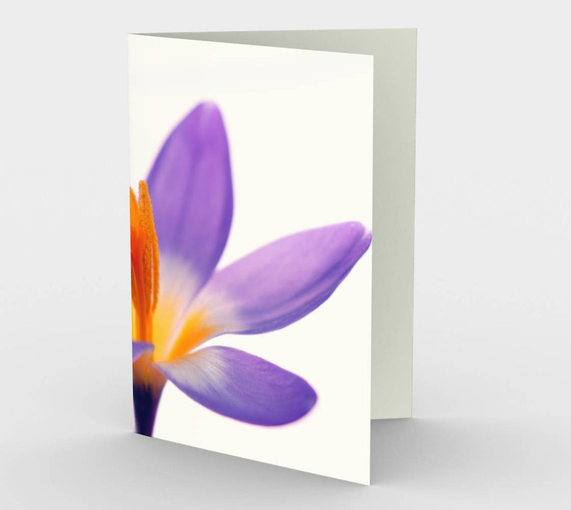 Purple Crocus Card, Blank Note Cards, Nature Note Cards, Greeting Cards ...