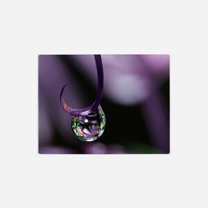 Purple Dew Drop Photo Glass Cutting Board, Nature Trivet Hot Pad ...