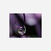 Purple Dew Drop Photo Glass Cutting Board, Nature Trivet Hot Pad ...