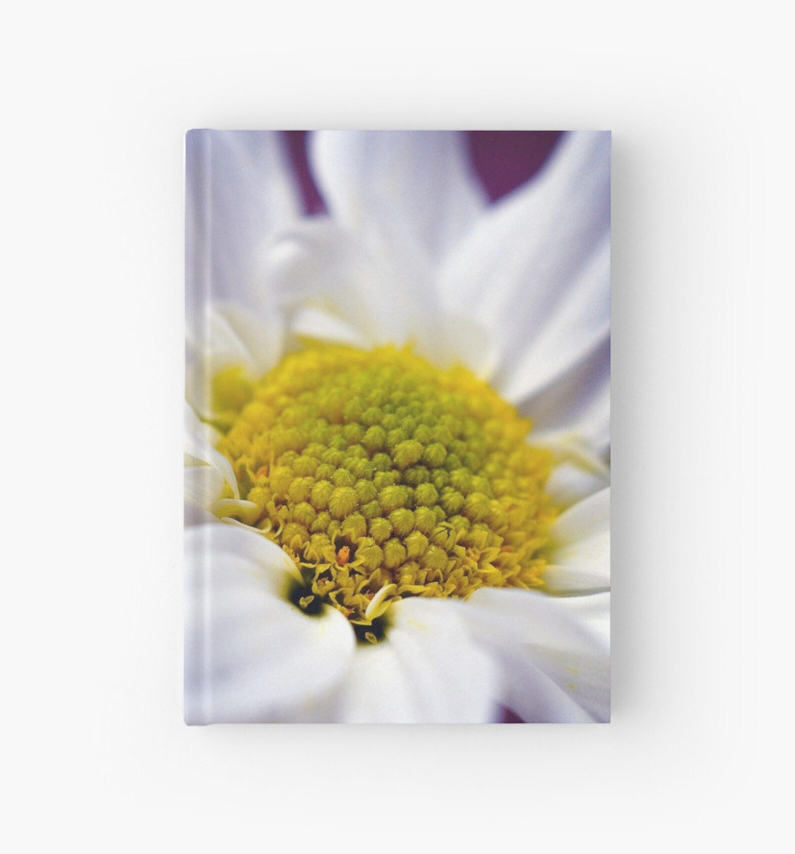 White Daisy Flower Journal Book, Floral Blank Sketchbook, Dream Journal ...