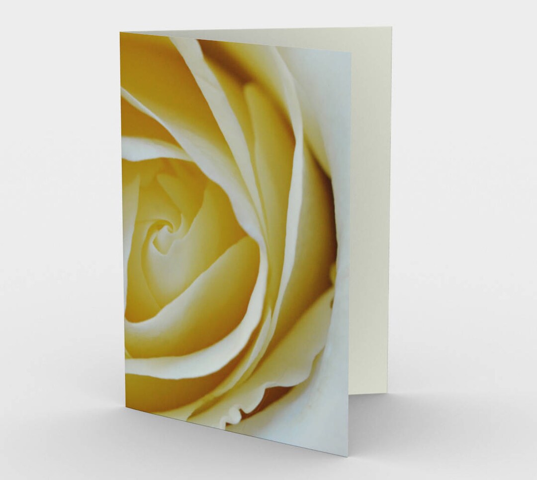 Yellow Rose Card, Blank Note Cards, Flower Note Cards, Greeting Cards ...