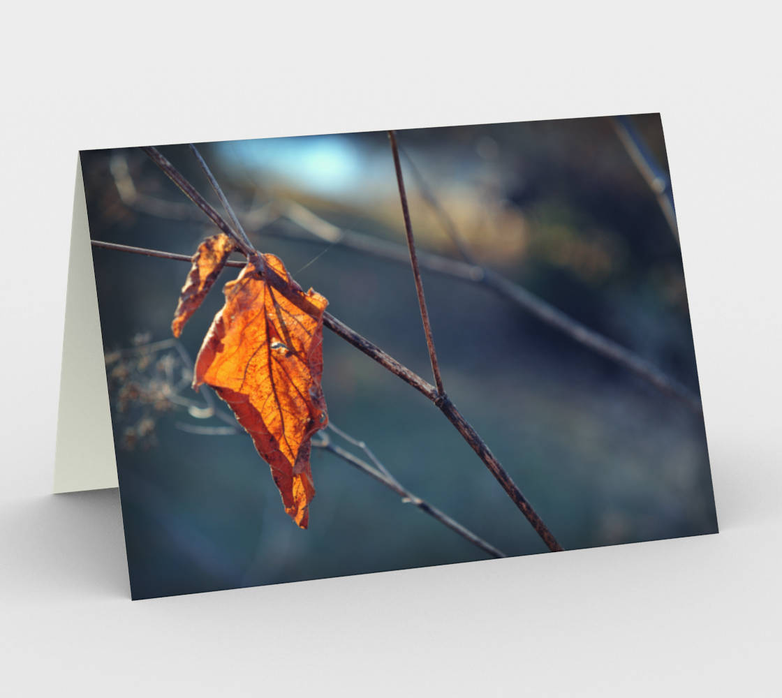 Autumn Leaf Fine Art Photo Blank Note Cards Nature Greeting - Etsy