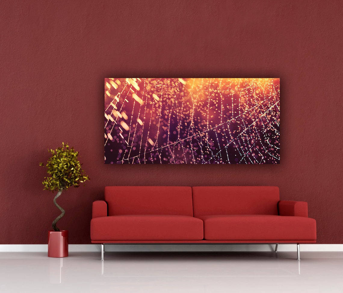 Glowing Orange Spider Web Macro Photograph Rain Showers - Etsy