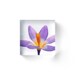 Purple Crocus Flower Acrylic Block, Floral Small Art, Floral Shelf ...
