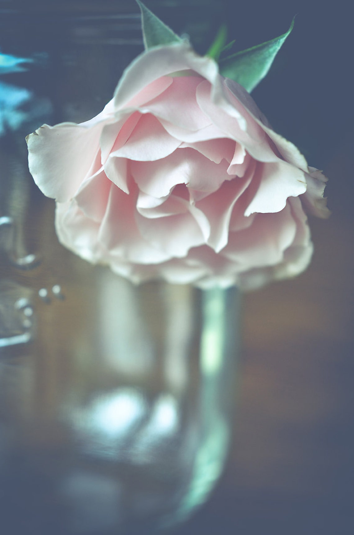 Vintage Roses Photograph Pink Roses Photo Prints Romantic | Etsy