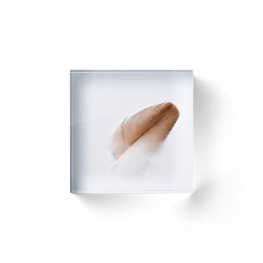 Minimal Feather Acrylic Block Small Art Shelf Sitter, Mantle Art ...