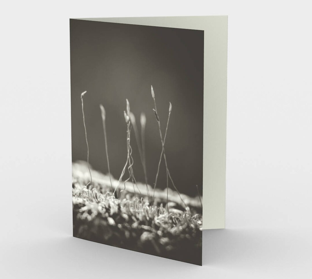 Ethereal Moss Card, Blank Note Cards, Nature Note Cards, Greeting Cards ...