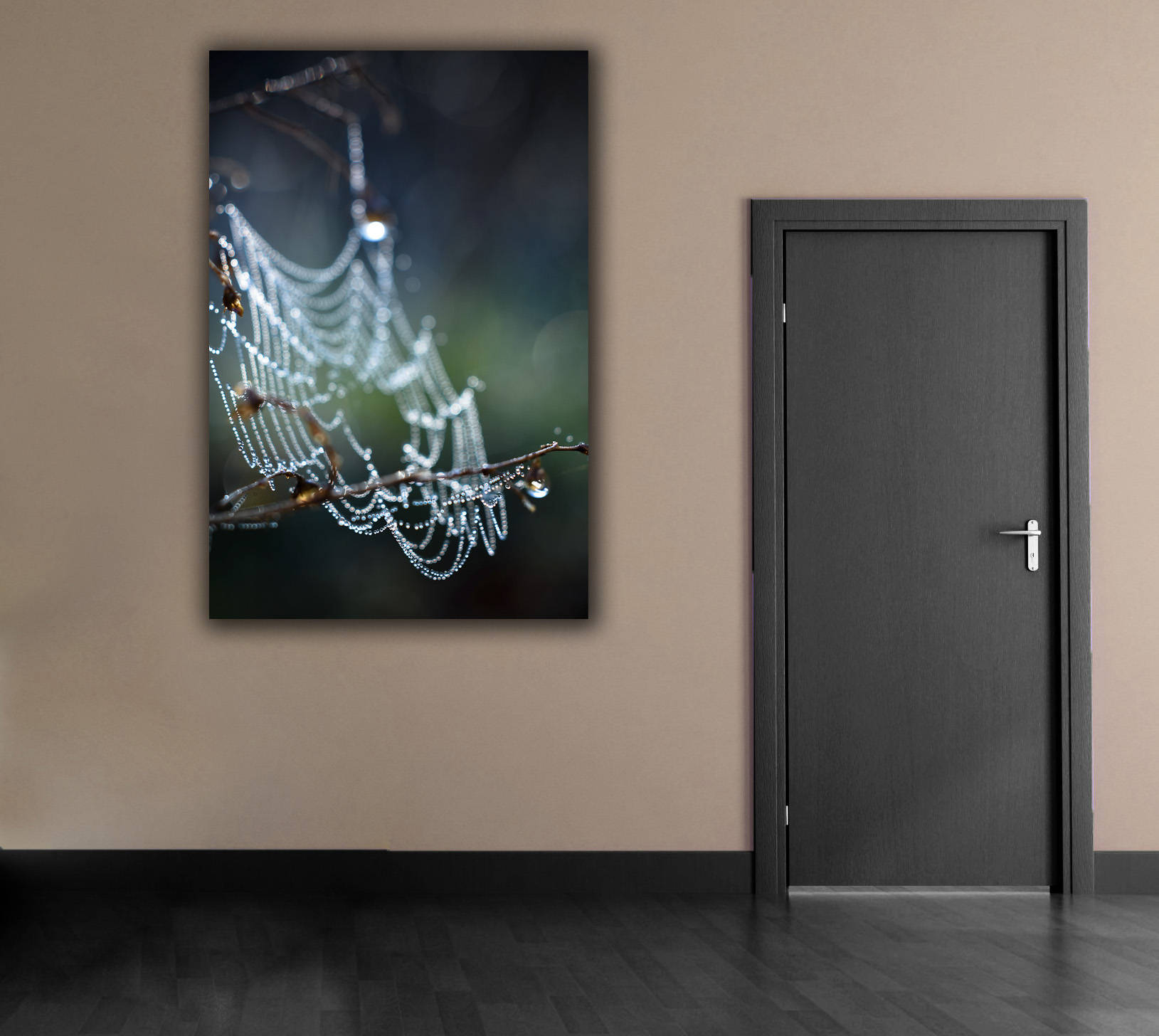 Close up Spider Web Photography Macro Web Picture Macro - Etsy