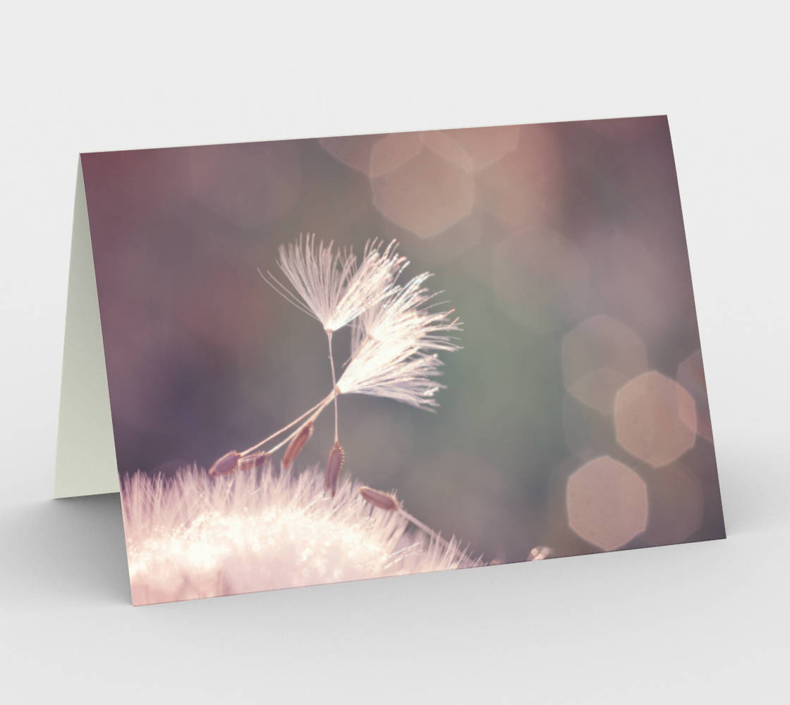 Pink Dandelion Card Blank Note Cards Nature Note Cards - Etsy