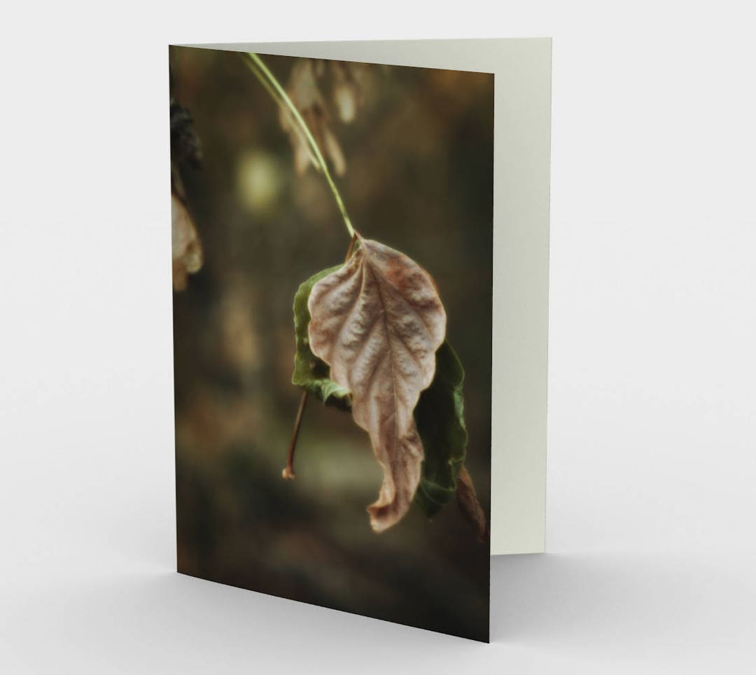 Autumn Leaf Note Cards, Blank Stationery, All Occasion (set of 3) - Etsy
