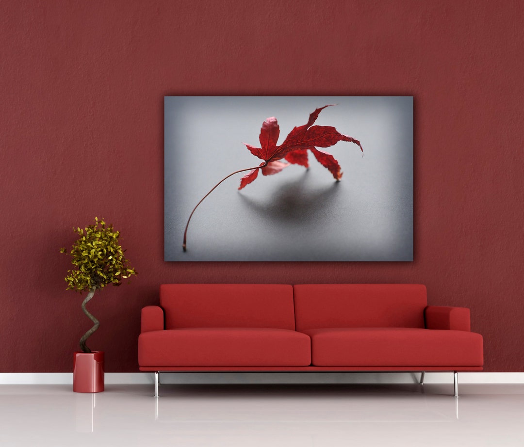 Red Leaf Photograph, Modern Still Life Autumn Photography, Minimal ...