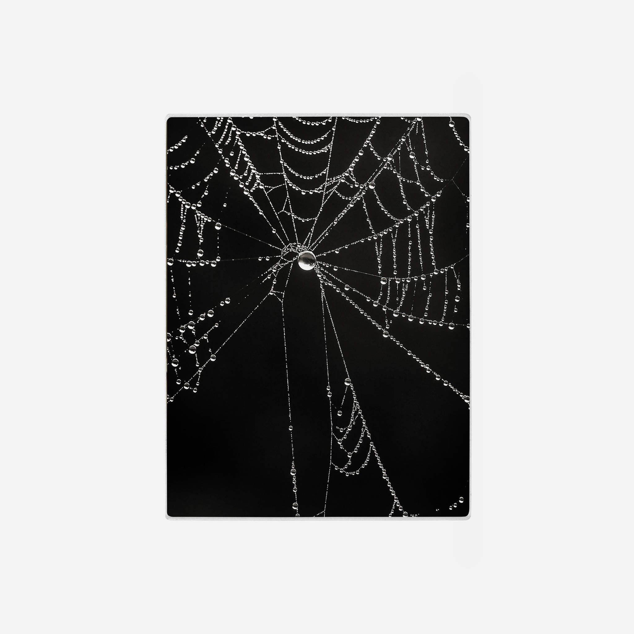 Gothic Cobweb Glass Kitchen Cutting Board Spiderweb Photo - Etsy