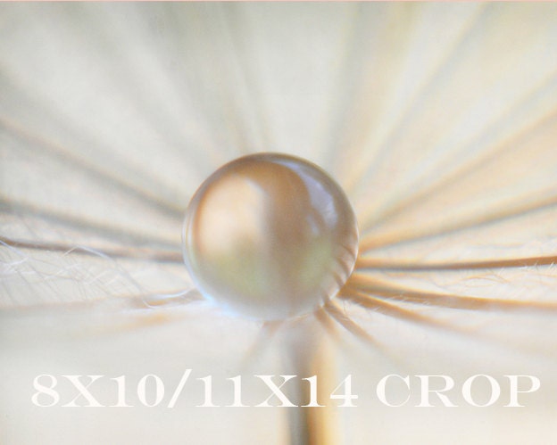 White Pearl Water Drop Macro Photography Ethereal Bedroom - Etsy