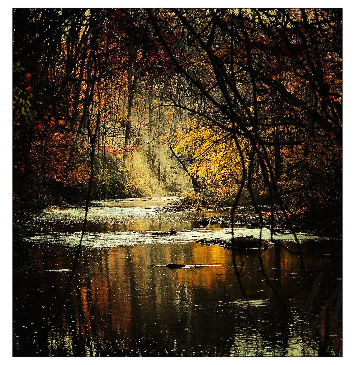 Dark Gothic Landscape Photograph, Autumn Woods Photo, Fine Art Nature ...