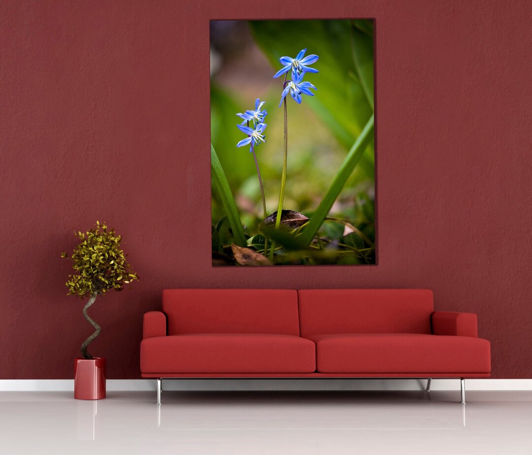 Blue Flowers Photograph, Floral Nature Photography, Botanical Fine Art ...