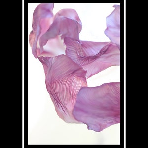 Abstract Photography, Minimal Photograph, Fine Art Photo Print ...