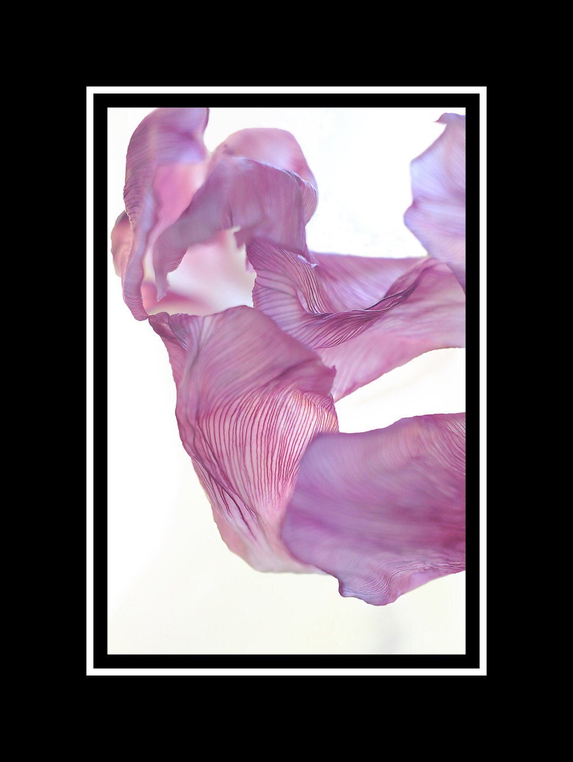 Abstract Photography Minimal Photograph Fine Art Photo Print - Etsy