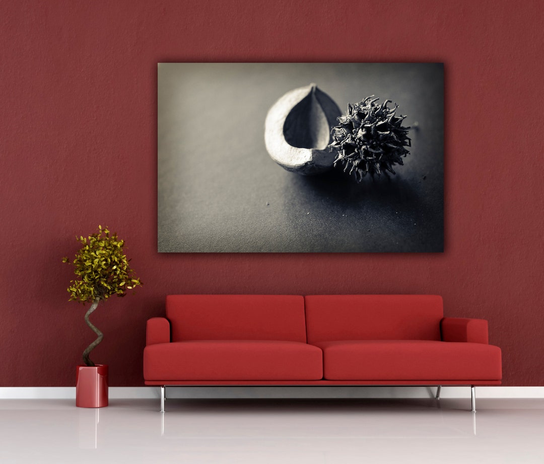 Still Life Photograph, Minimalist Monochrome Photography, Fine Art ...