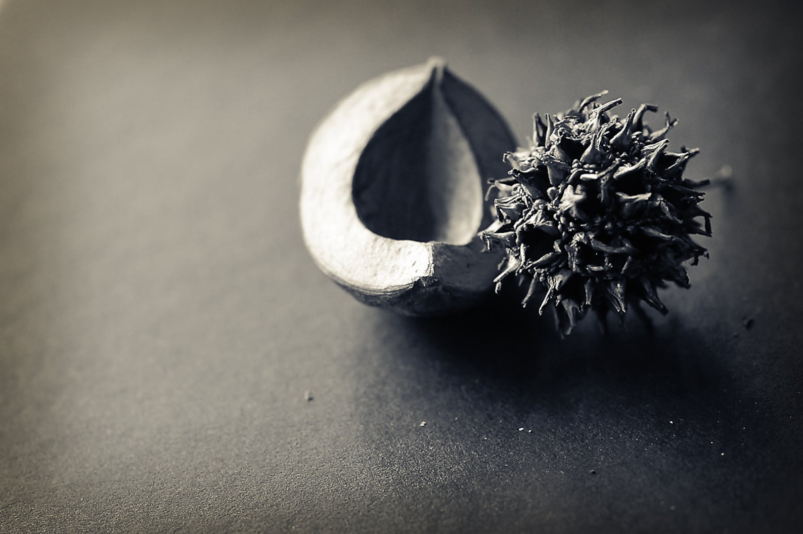 Still Life Photograph, Minimalist Monochrome Photography, Fine Art ...