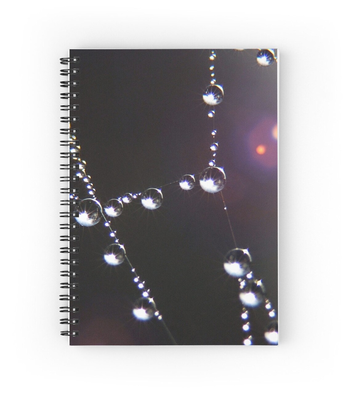 Dew Drops on Cobweb Notebook Journal Blank Sketchbook for - Etsy