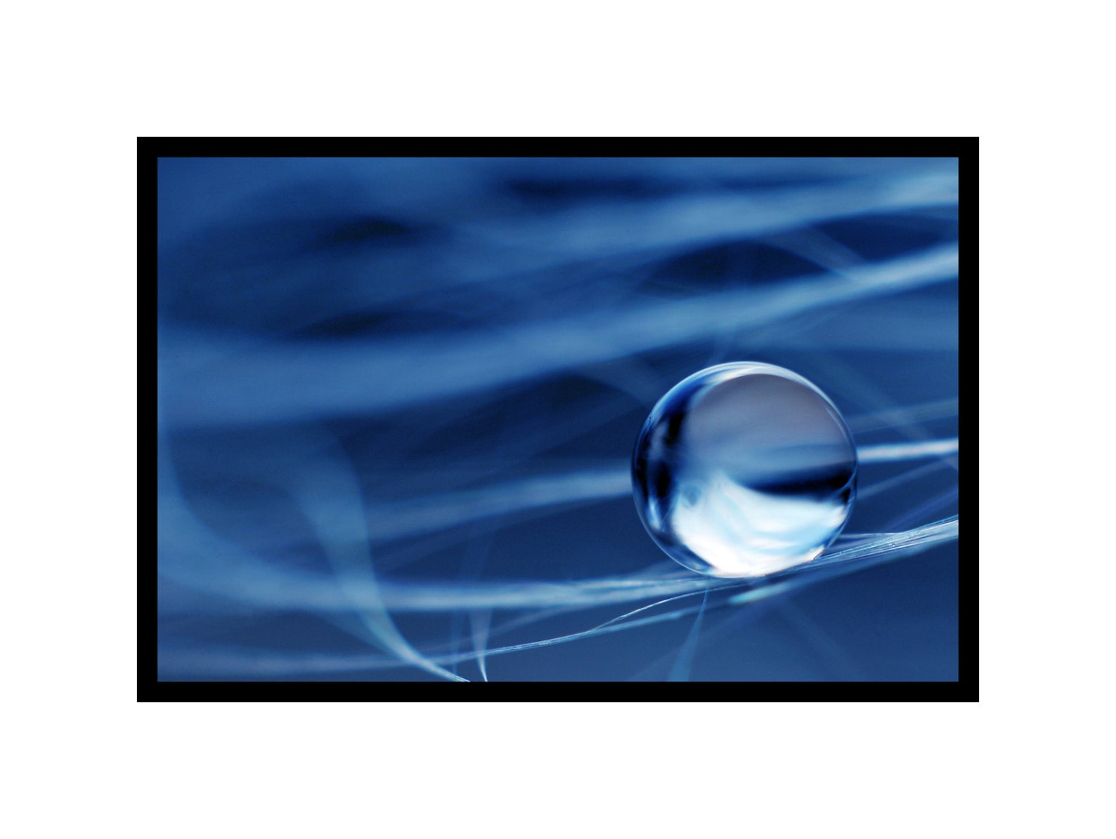 Ethereal Macro Water Drop Photography Close up Nature - Etsy