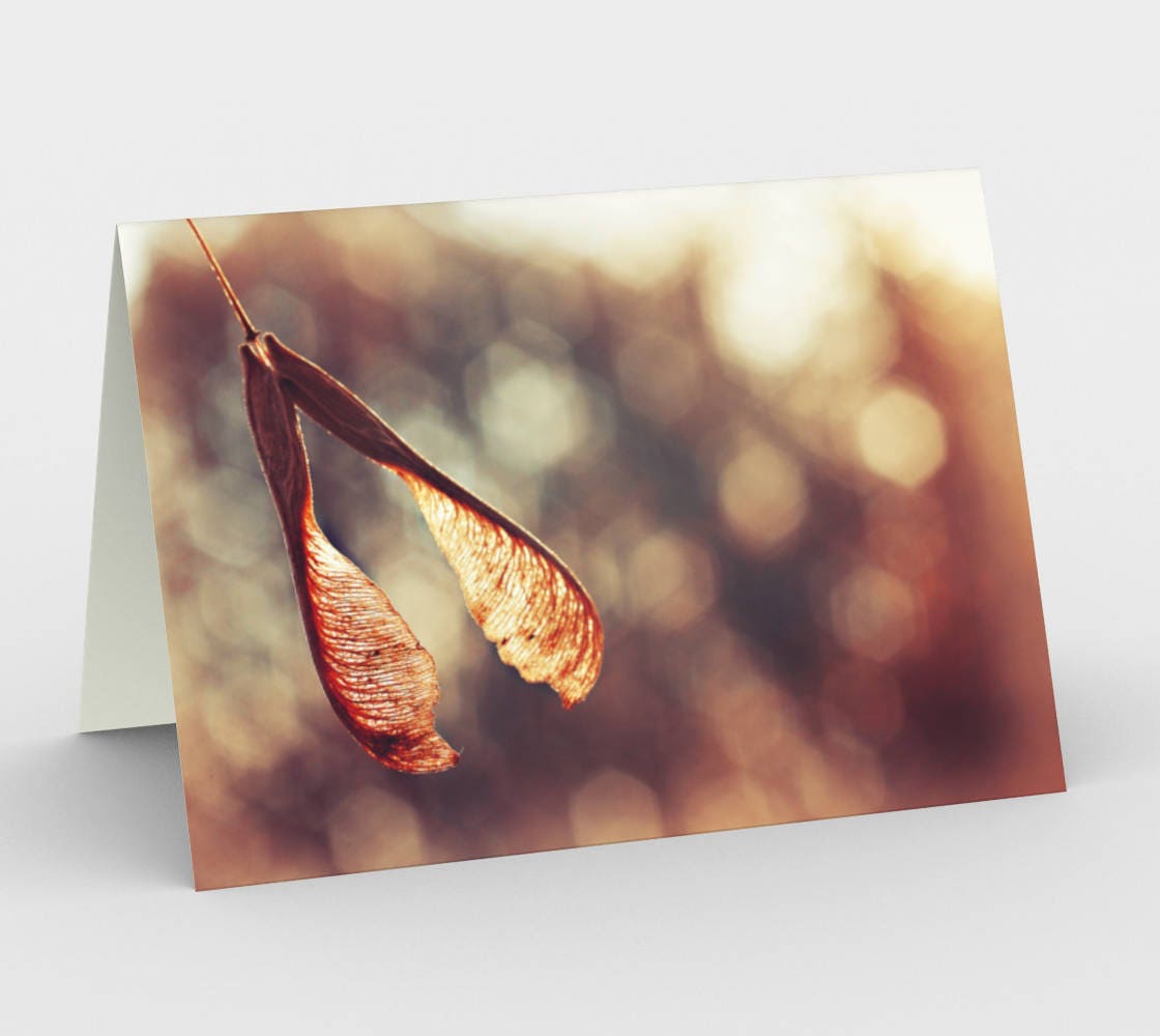 Maple Seed Card Blank Note Cards Nature Note Cards Greeting - Etsy