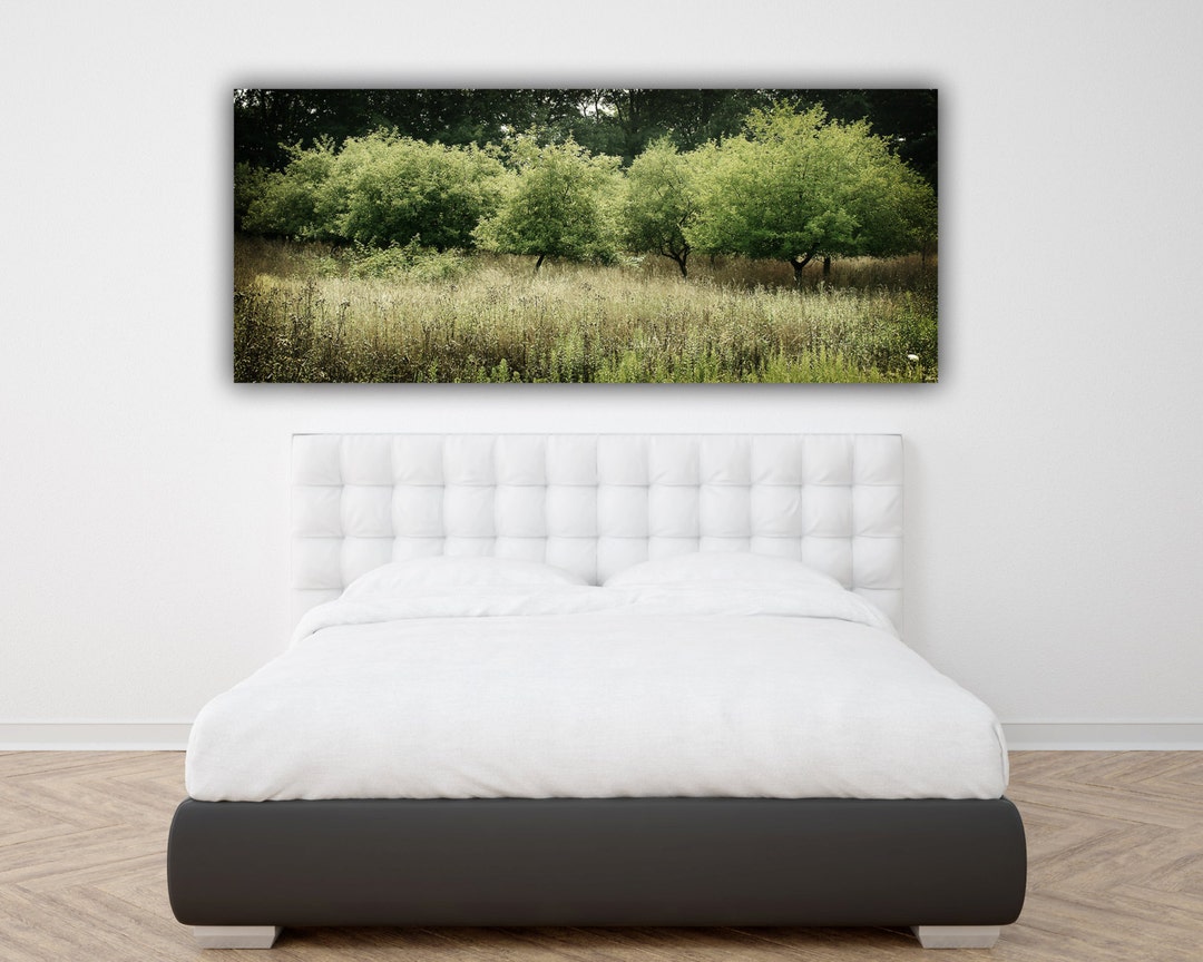 Tree Photograph, Apple Orchard Photography, Wide Print Panorama Photo ...