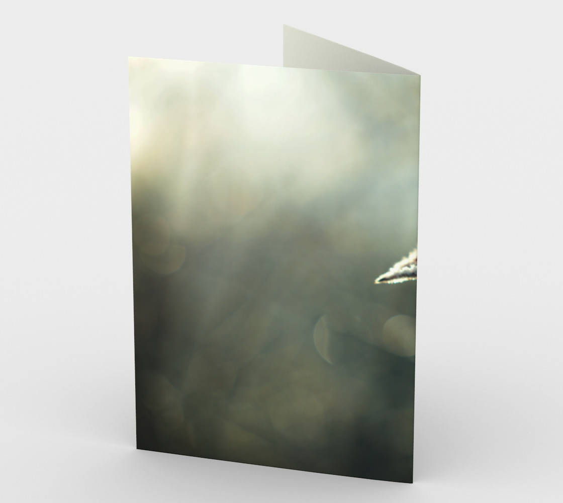 Red Autumn Leaf Photo Cards Set of Three 5x7 Blank Note - Etsy