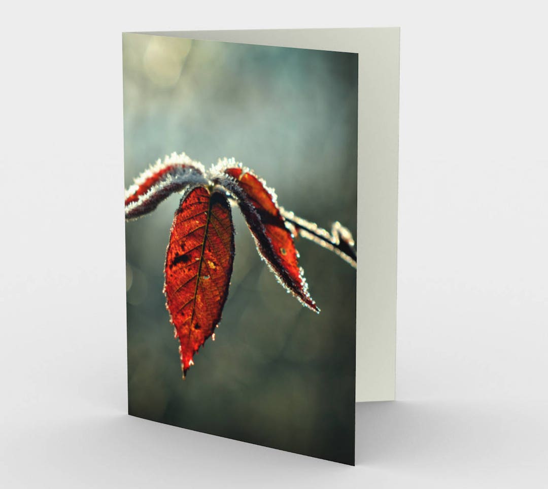 Red Autumn Leaf Photo Cards, Set of Three 5x7 Blank Note Cards, Fine ...