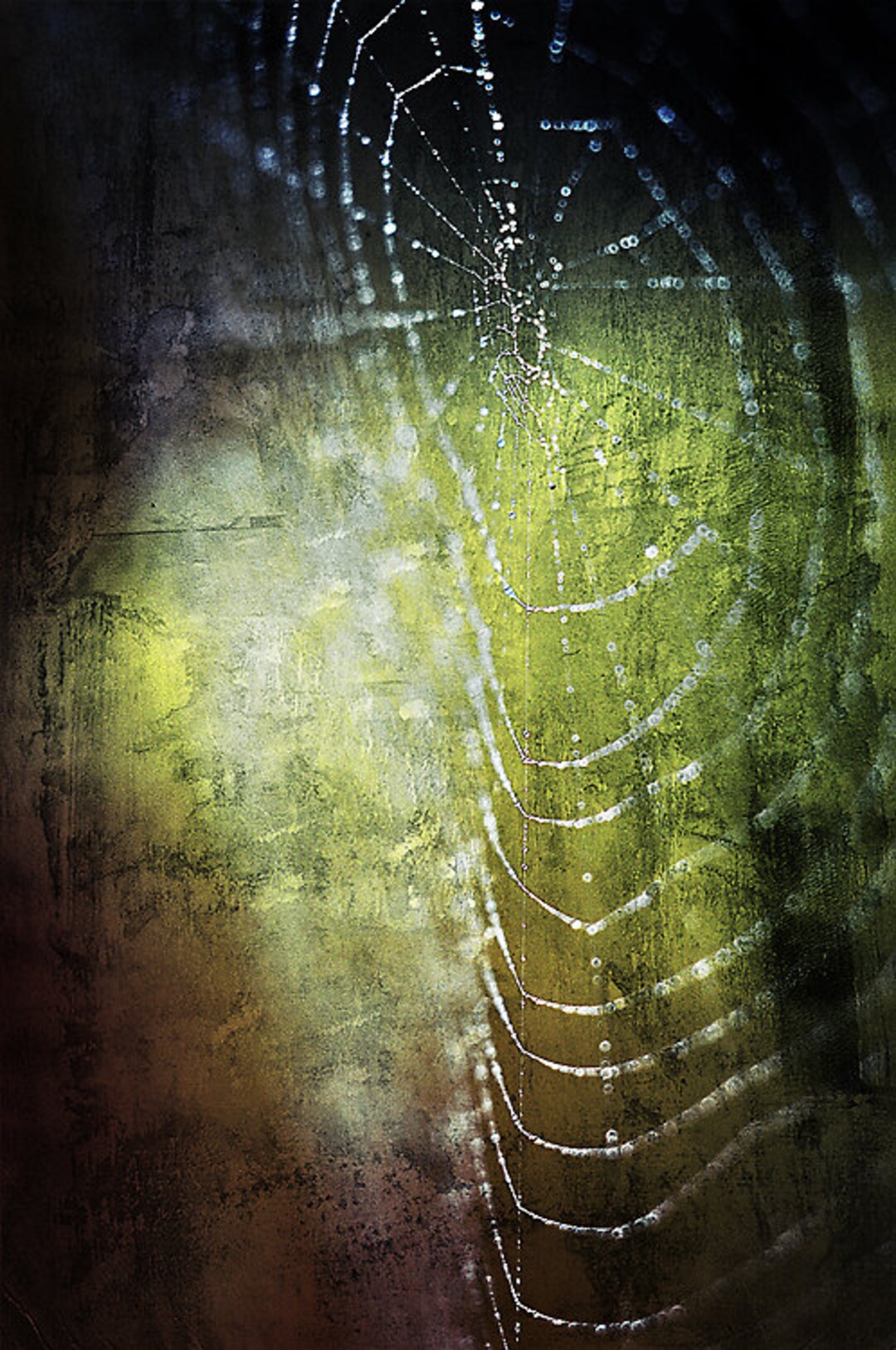 Surreal Cobweb Photography, Dark Textured Spider Web Photo Print ...