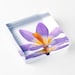 Purple Crocus Flower Acrylic Block, Floral Small Art, Floral Shelf ...
