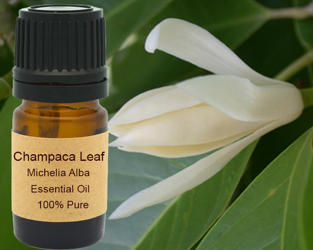 Champaca Leaf Essential Oil: Steam Distilled, Woody Aroma - Etsy