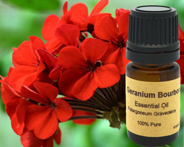 Geranium Bourbon Essential Oil 5 ml 10 ml or 15 ml | Etsy