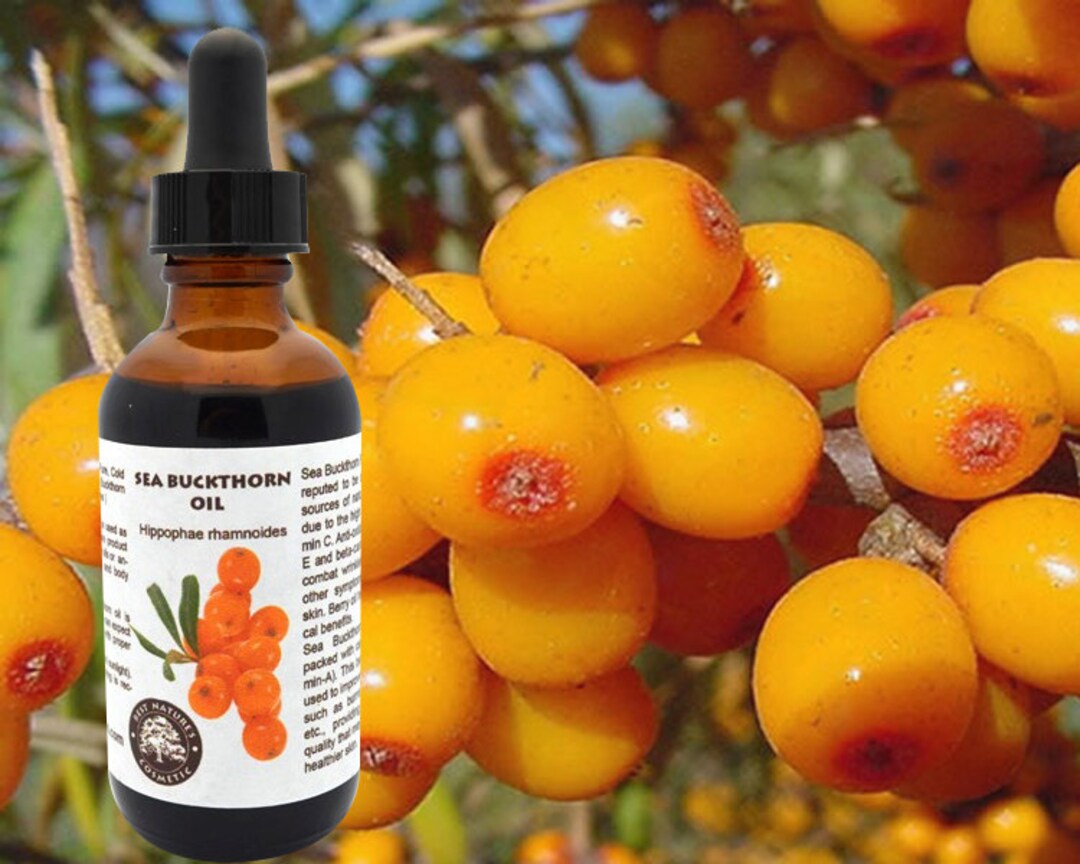 100% Pure Sea Buckthorn Fruit, Berry Oil (cold Pressed, Unrefined ...