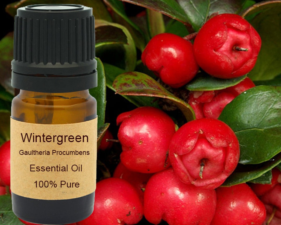 Wintergreen Essential Oil: Steam Distilled, Sweet Mint Scent 0.5oz ...