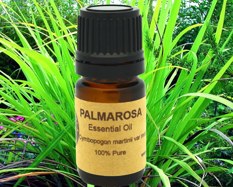 Palmarosa Essential Oil Organic 5ml 10 Ml or 15 Ml - Etsy