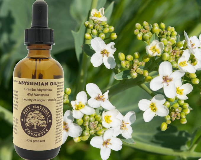 7 Lb, 1 Gal ABYSSINIAN / CRAMBE SEED Oil Organic Cold Pressed Natural ...
