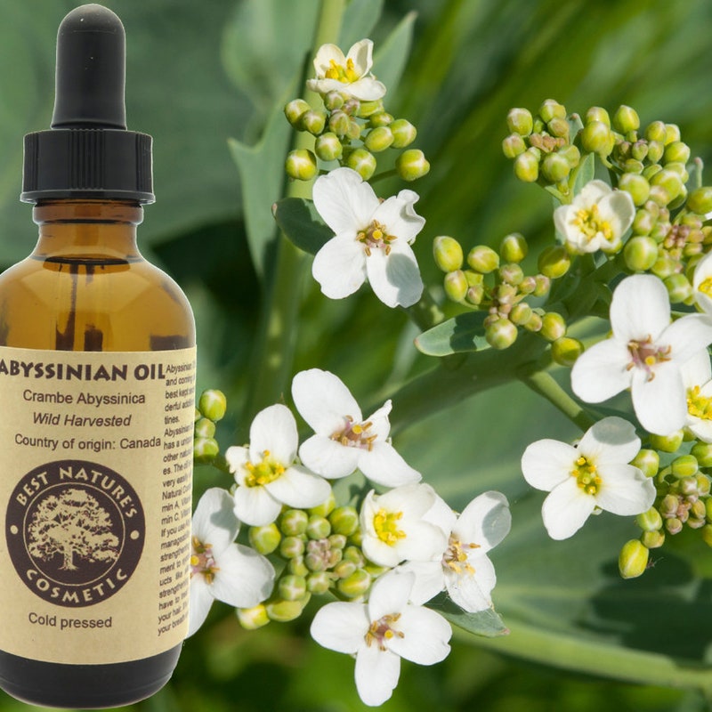 Cold Pressed Mustard Oil 3 Litre - Etsy Australia