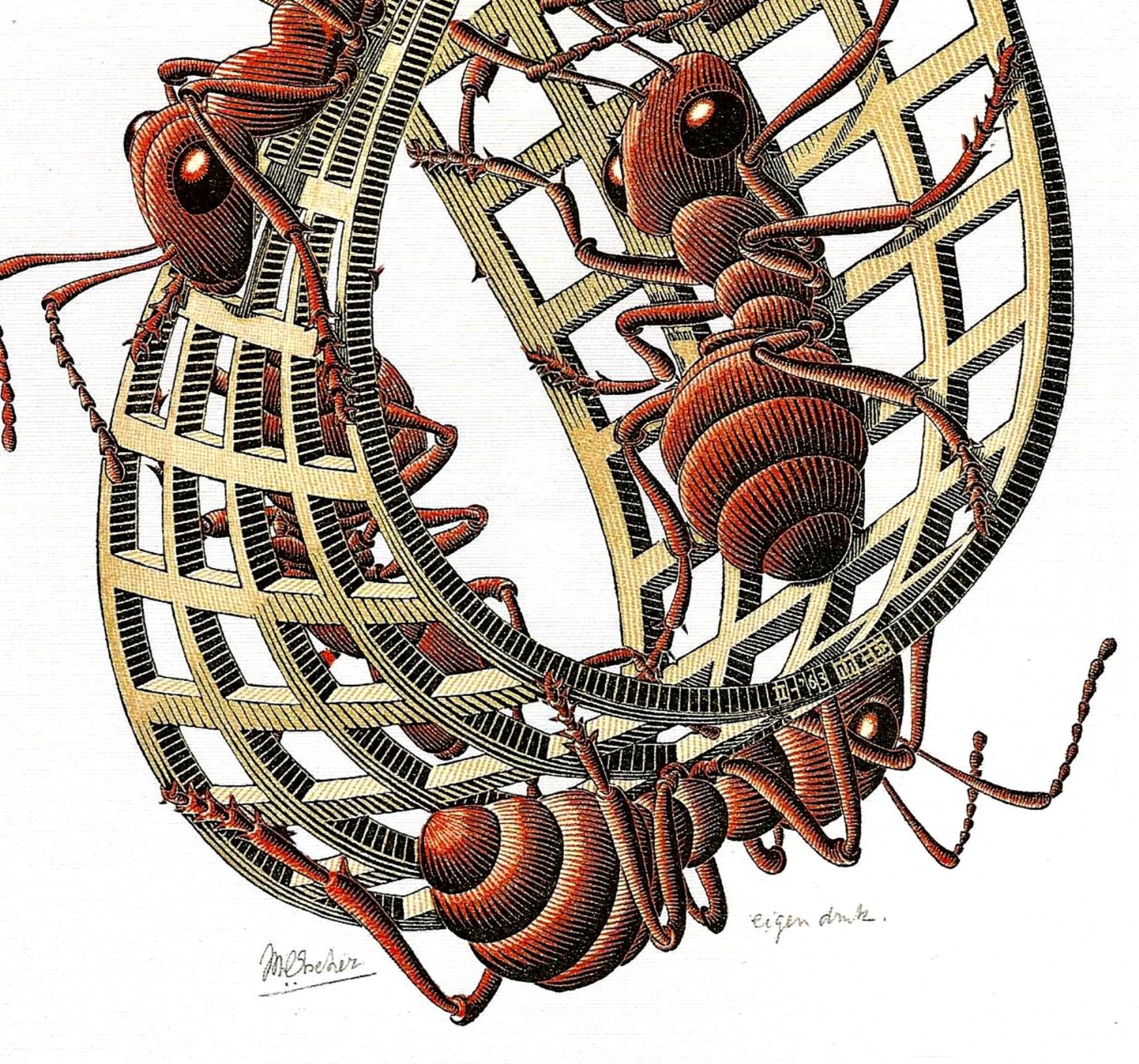 M.C. Escher print Mobius Strip II Red Ants | Etsy