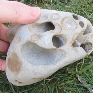 Holey Rock, 4 to 6 Inches 2 Pieces, Beach Rocks With Holes, Holy Rocks ...