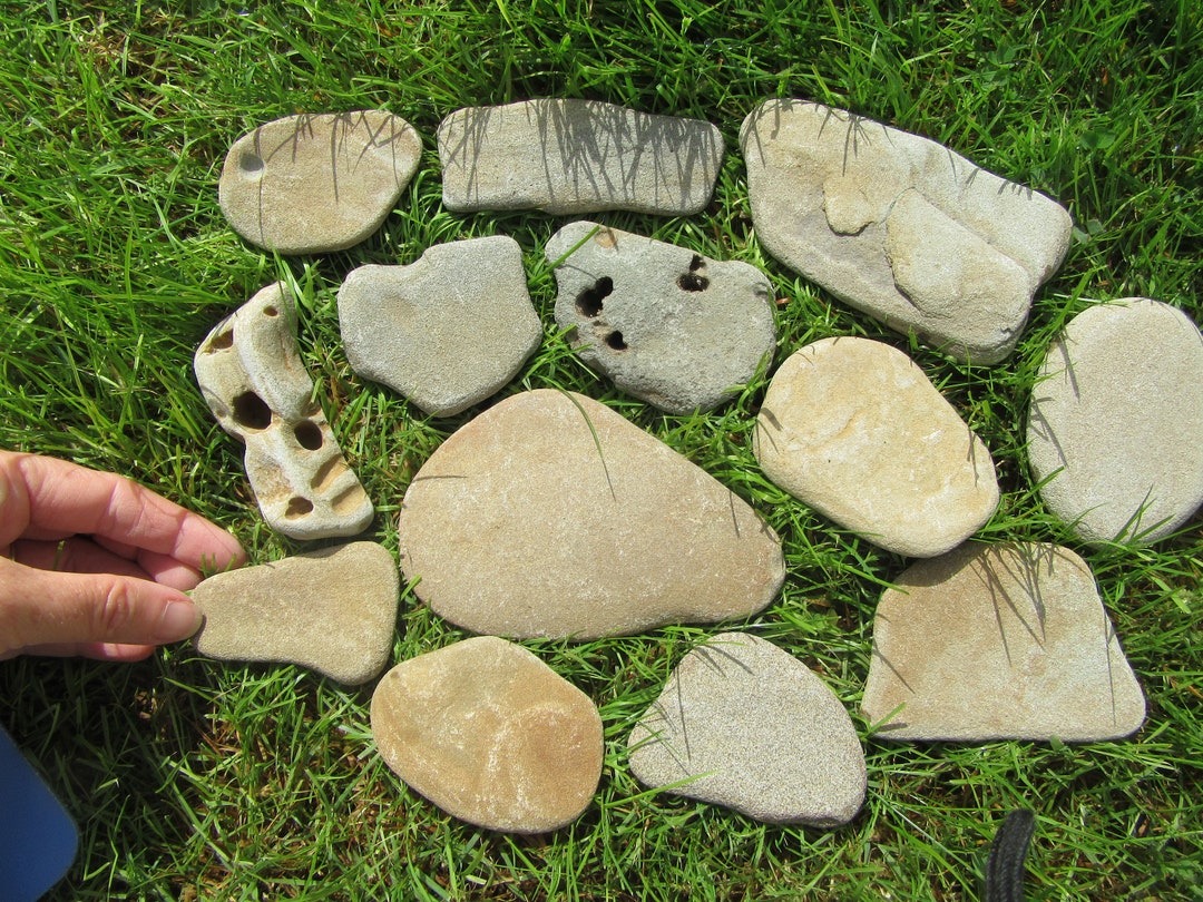 Lot of 10 Beach Rocks for Miniature Asian Gardens, Miniature Lush ...