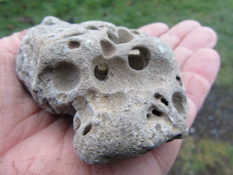 Holey Rock, 4 to 6 Inches 2 Pieces, Beach Rocks With Holes, Holy Rocks ...