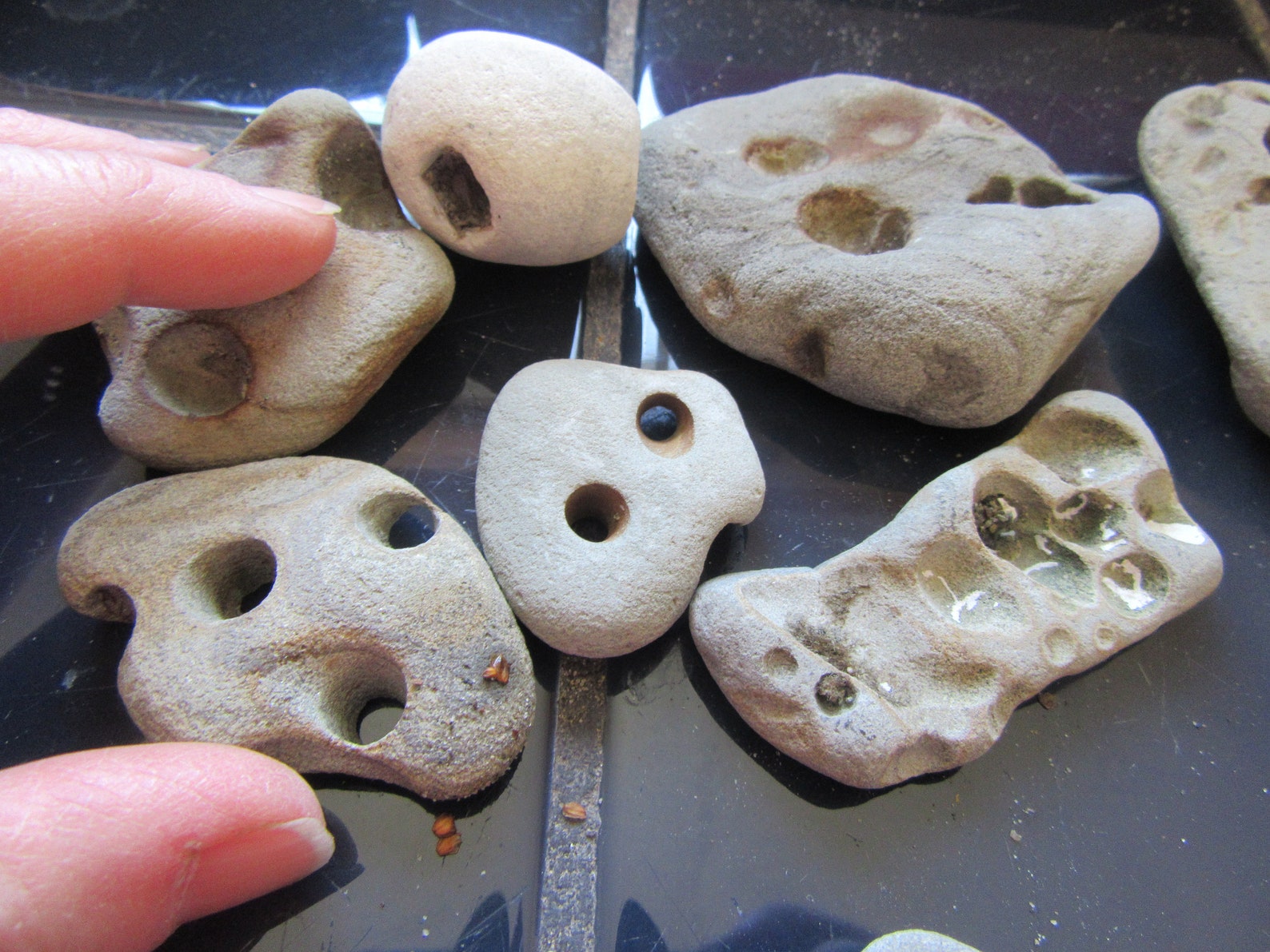 Holey Rocks, 10 Rocks 3 Inches and Under Beach Rocks With Holes, Holy ...