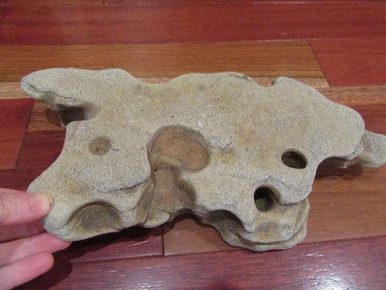 Holey Rock, 4 to 6 Inches 2 Pieces, Beach Rocks With Holes, Holy Rocks ...
