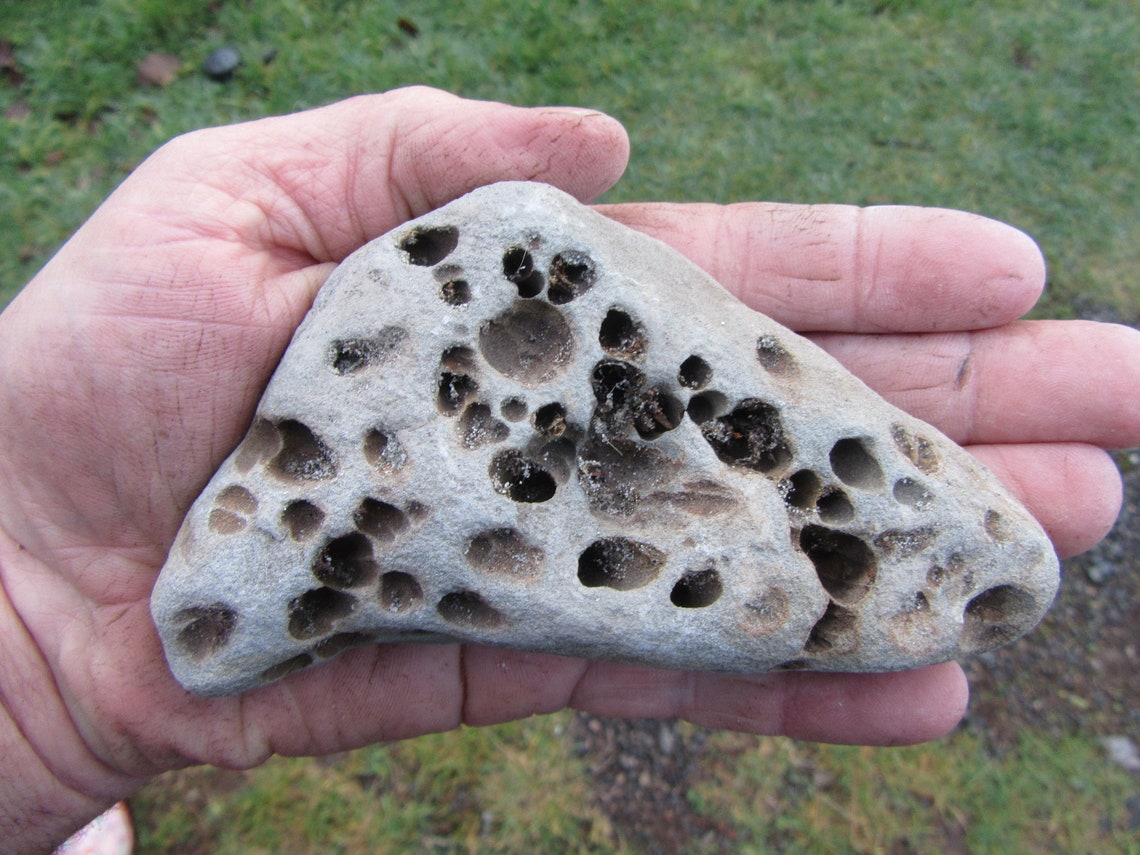 Holey Rock, 4 to 6 Inches 2 Pieces, Beach Rocks With Holes, Holy Rocks ...