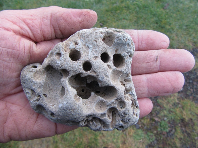 Holey Rock, 4 to 6 Inches 2 Pieces, Beach Rocks With Holes, Holy Rocks ...