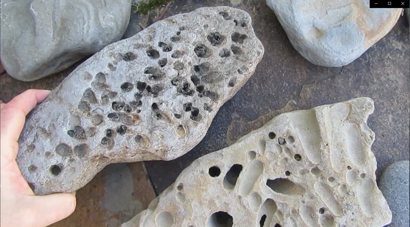 Holey Rock, 4 to 6 Inches 2 Pieces, Beach Rocks With Holes, Holy Rocks ...