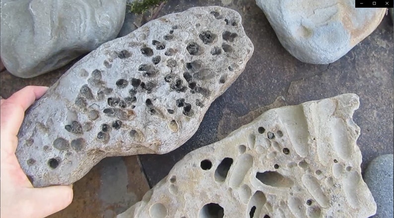 Holey Rock, 4 to 6 Inches 2 Pieces, Beach Rocks With Holes, Holy Rocks ...